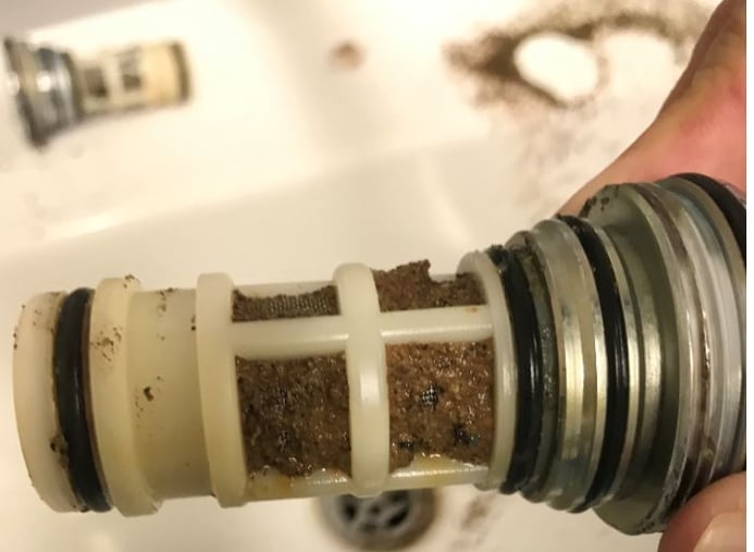 Your guide to Biofilms – Part 1